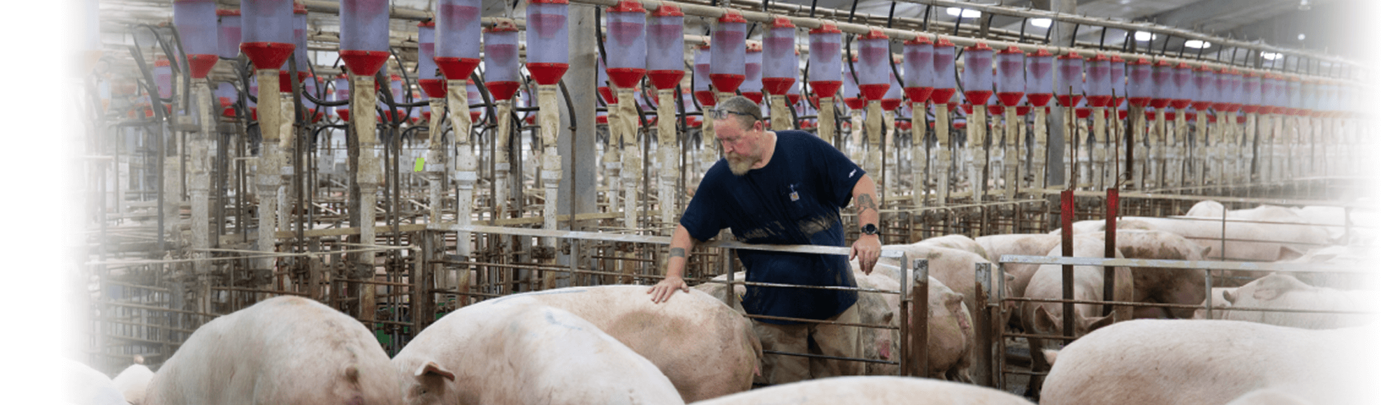 Belstra Group Farms - Belstra Milling